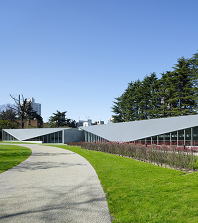 21_21 DESIGN SIGHT: Exploring Visionary Design in Tokyo - Culture Treasures